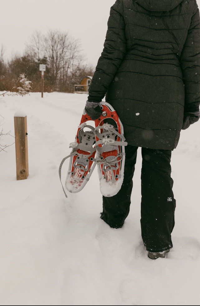 Hit Reset: Why Ontario’s Winter Glamping Is the Ultimate 2026 Fresh Start